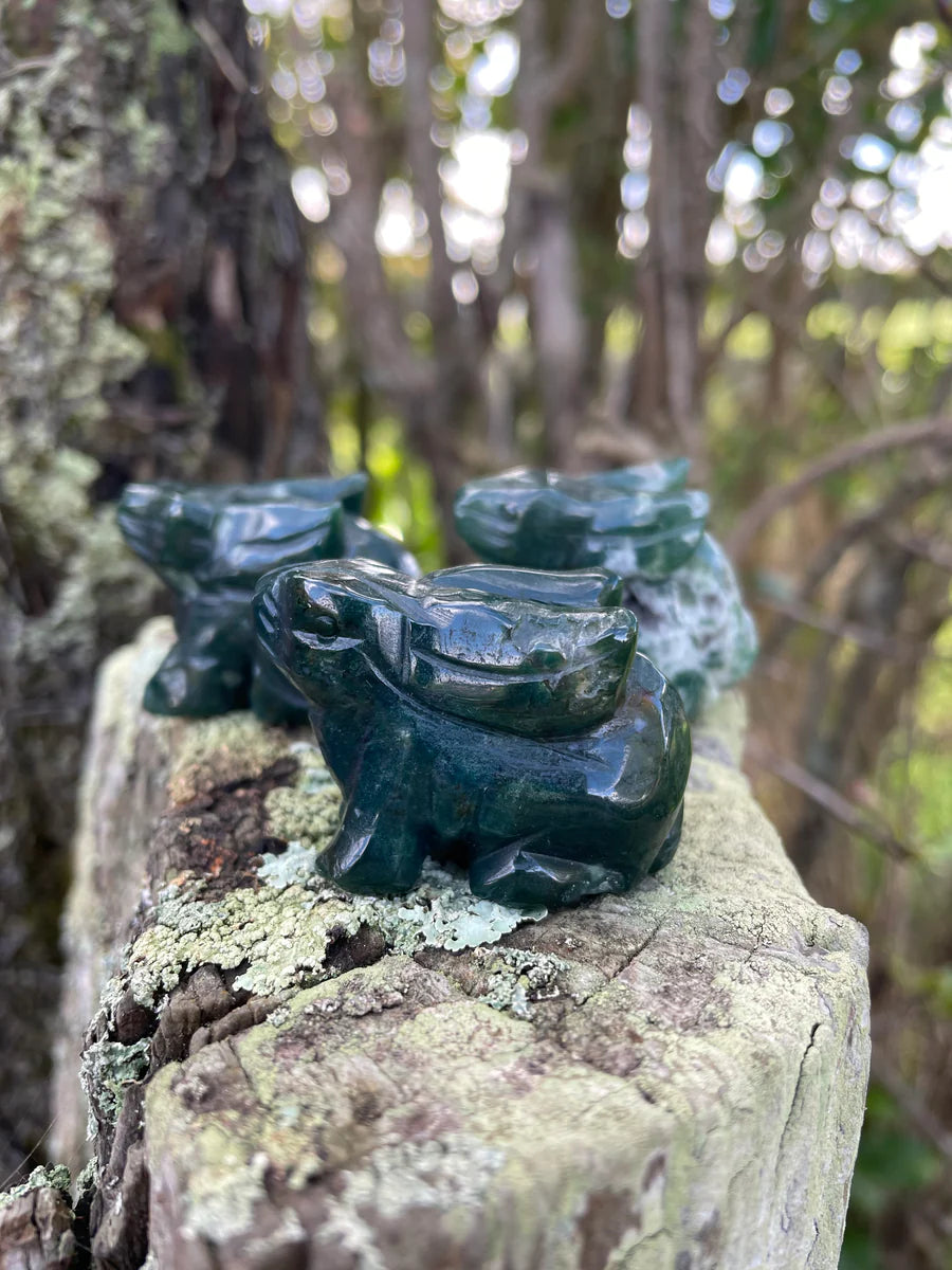 Animals – Daughters And Co Crystals