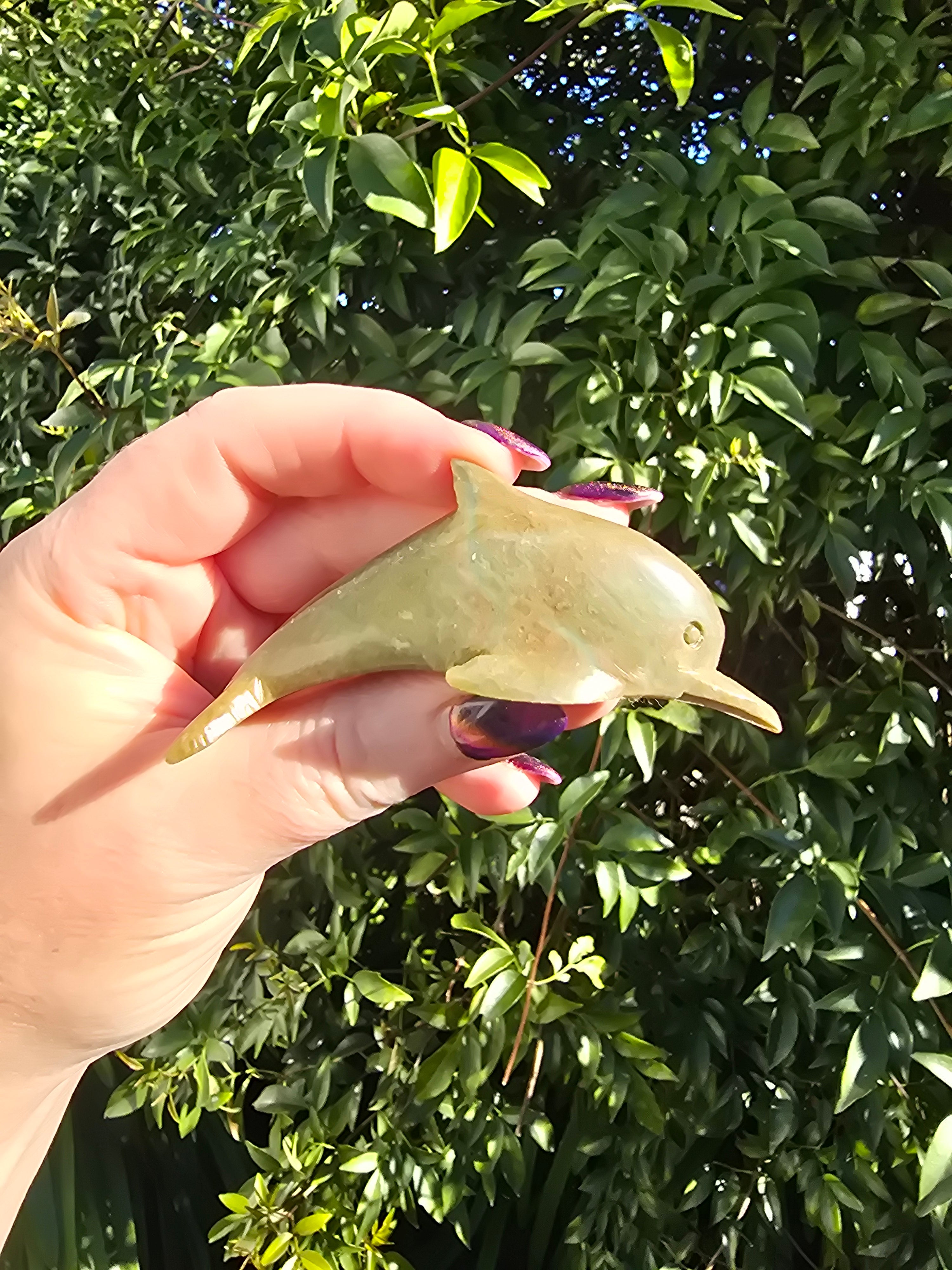 Dolphin Soapstone Medium – Daughters And Co Crystals