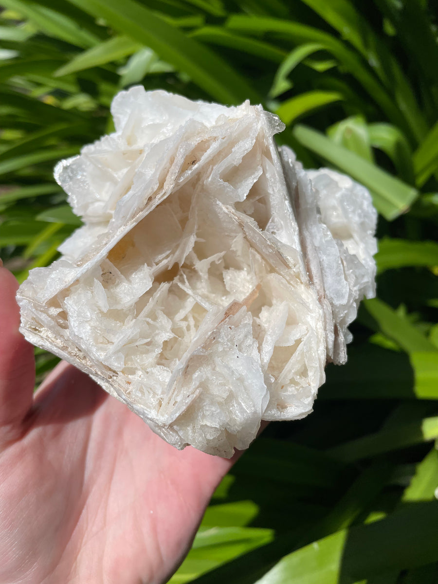 Angel Wing Calcite Cluster Piece B – Daughters And Co Crystals
