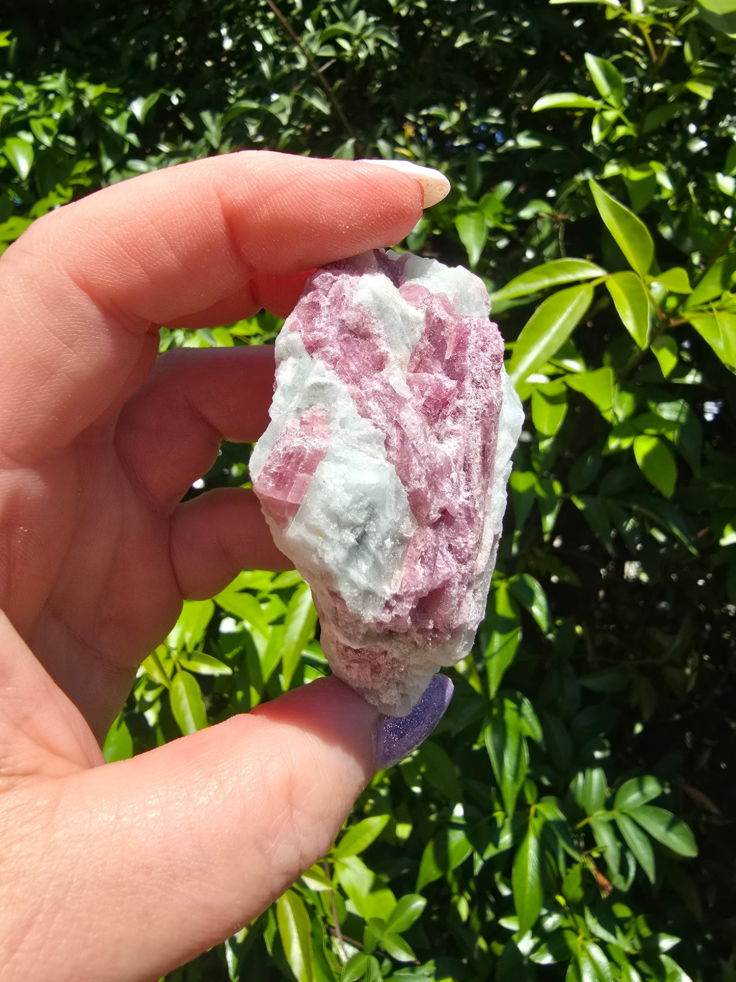 Pink Tourmaline In Quartz Rough Piece D – Daughters And Co Crystals