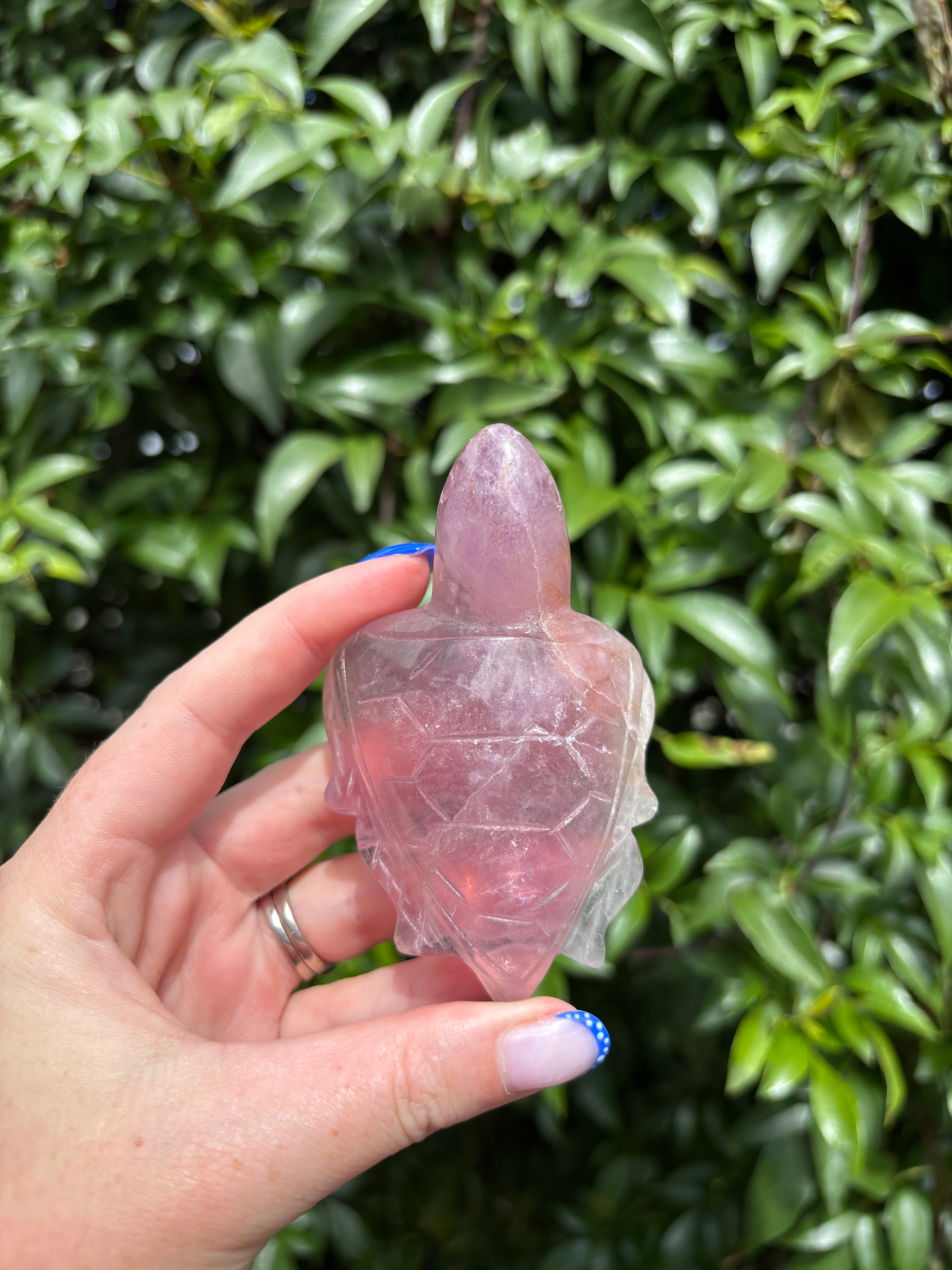 Purple Fluorite Carved Turtle C – Daughters And Co Crystals
